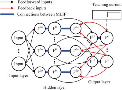 Frontiers | Highly efficient neuromorphic learning system of spiking neural network with multi ...